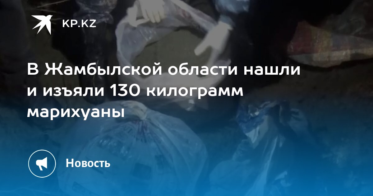 В Жамбылской области нашли и изъяли 130 килограмм марихуаны - KP.KZ
